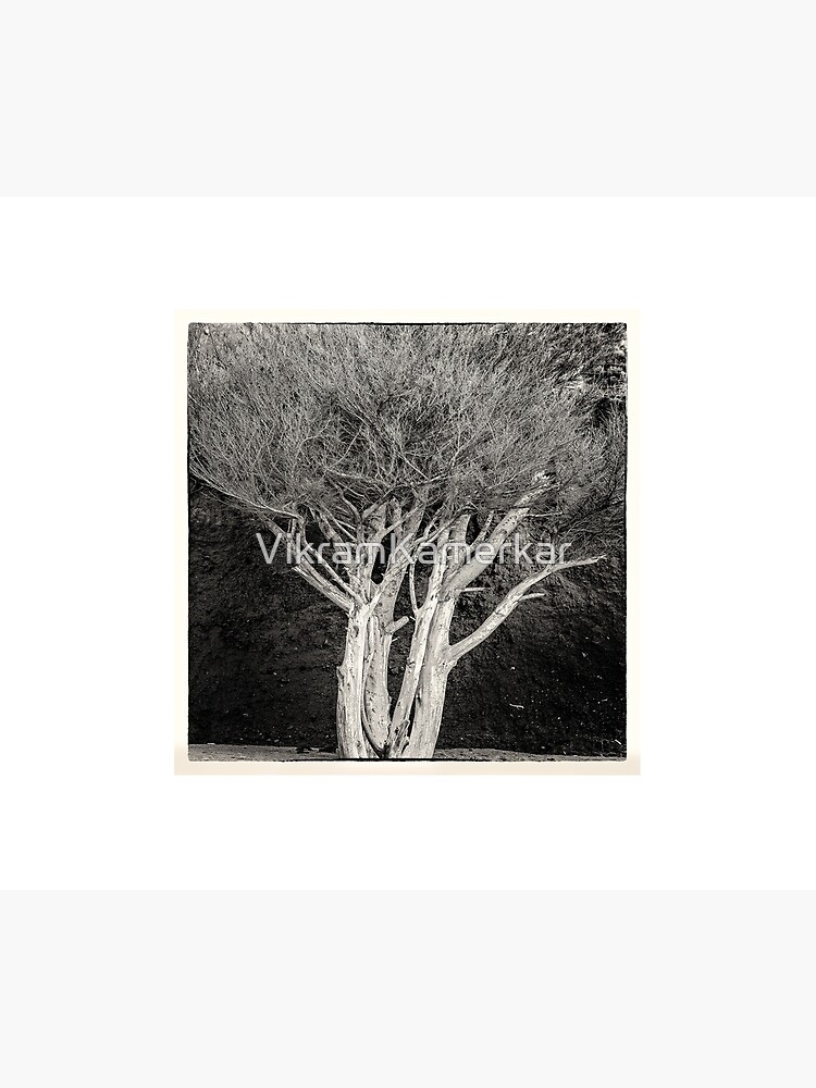 "Tree on Praa Sands" Shower Curtain for Sale by VikramKamerkar | Redbubble