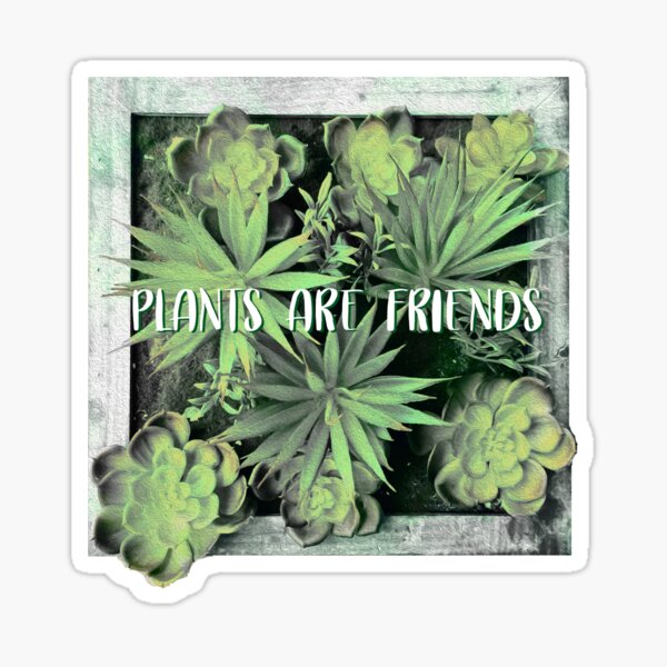 "Plants Are Friends" Sticker by TorpedoBubble | Redbubble