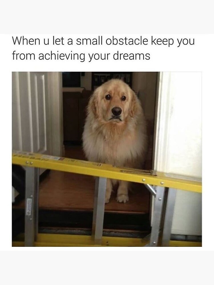 "Sad Doggo" Sticker by XIXDragoXCIX | Redbubble