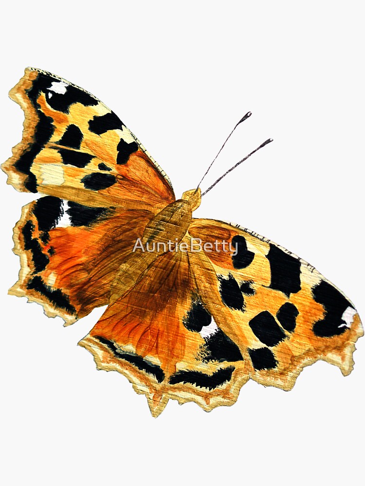 "Nymphalis vaualbum samurai (Compton Tortoiseshell or False Comma ...