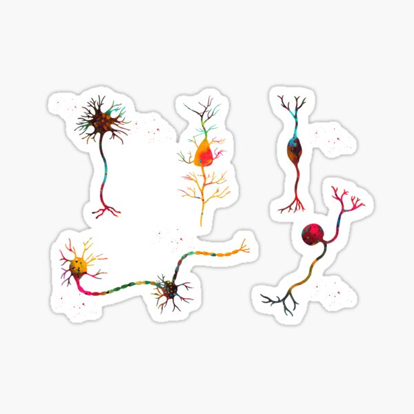 "Neuron cells" Sticker for Sale by erzebetth | Redbubble