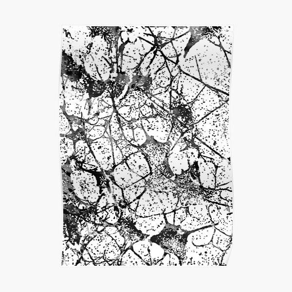 "Neural network" Poster for Sale by erzebetth | Redbubble