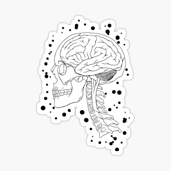 "Skull and brain" Sticker for Sale by Rosaliartbook | Redbubble