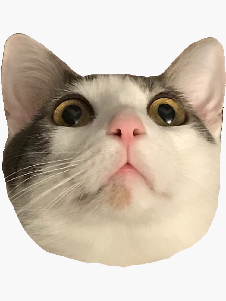 "Bean Stare" Sticker by biroboi | Redbubble