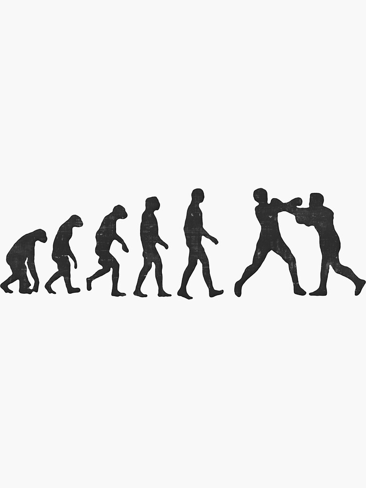 "Evolution Boxer Boxing" Sticker by InfinityWar | Redbubble