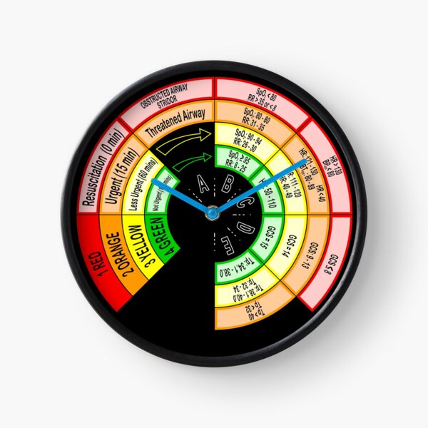 "Triage Nurse Vital Signs Card for OR, ED, ICU and ER Nurses" Clock by ...