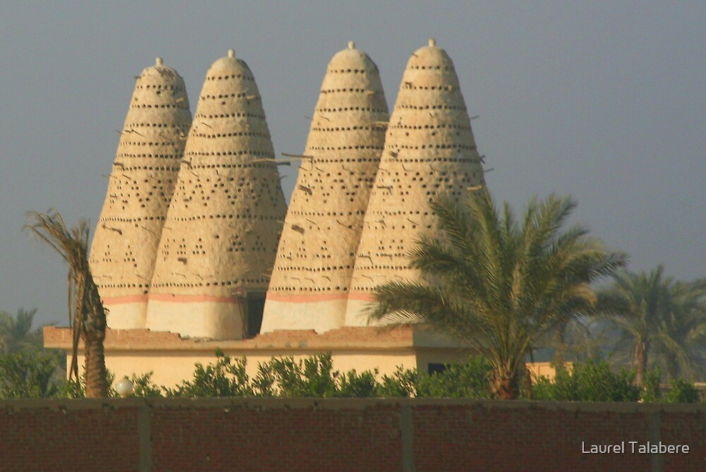 "Pigeon Towers" by Laurel Talabere | Redbubble