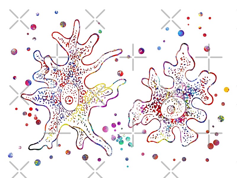 "Amoeba" by Rosaliartbook | Redbubble