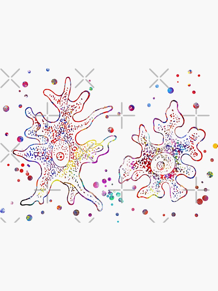 "Amoeba" Sticker for Sale by Rosaliartbook | Redbubble