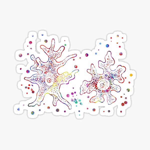 "Amoeba" Sticker for Sale by Rosaliartbook | Redbubble