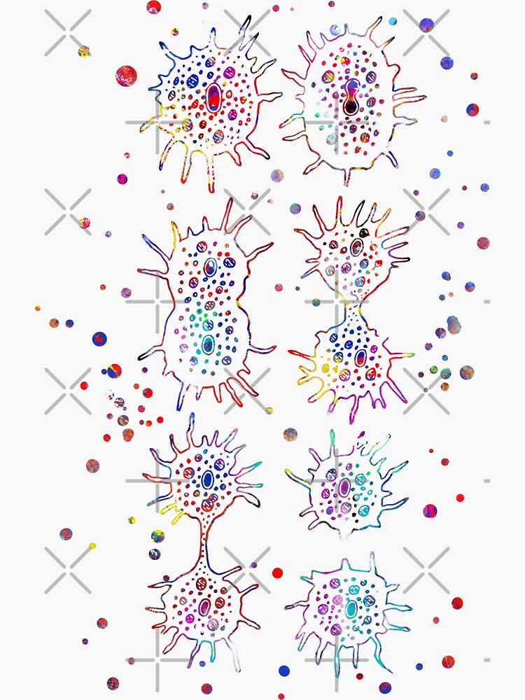 "Amoeba" Sticker for Sale by Rosaliartbook | Redbubble