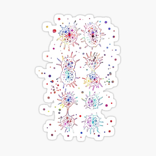 "Amoeba" Sticker for Sale by Rosaliartbook | Redbubble