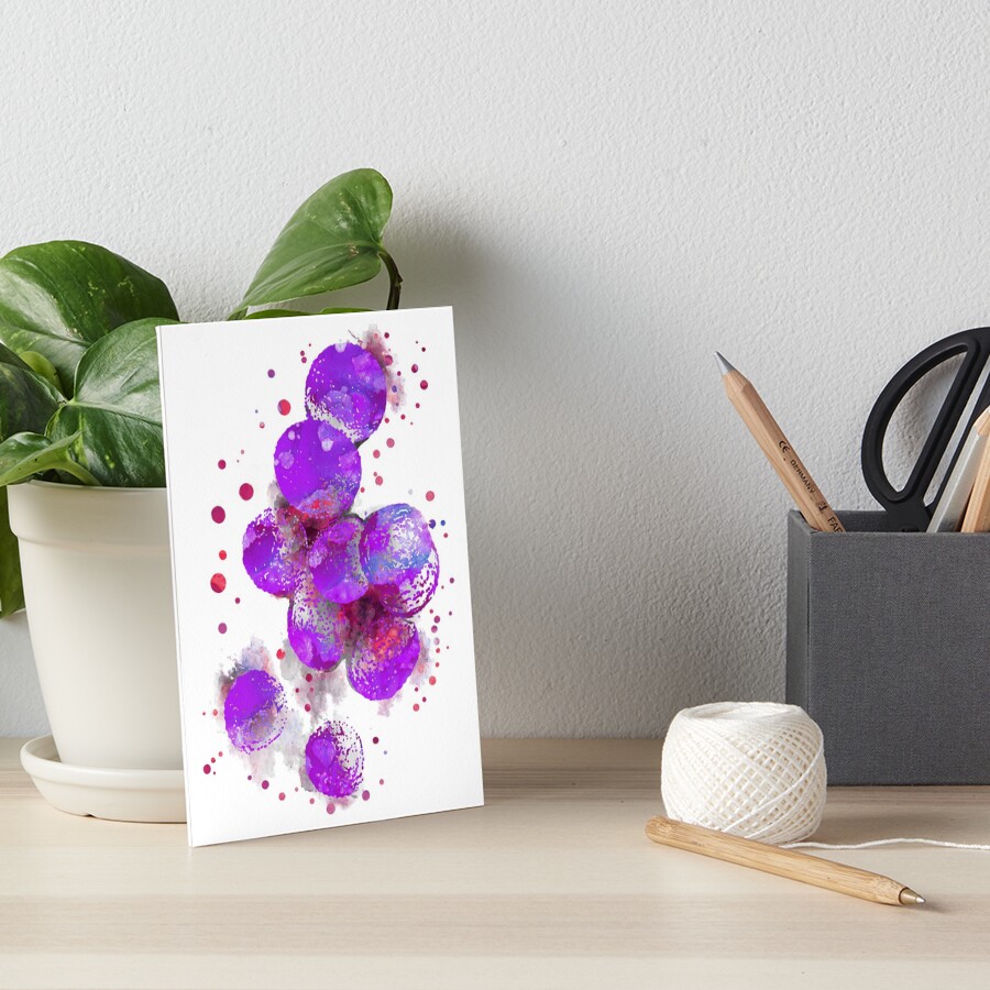 "Staphylococcus aureus" Art Board Print by Rosaliartbook | Redbubble