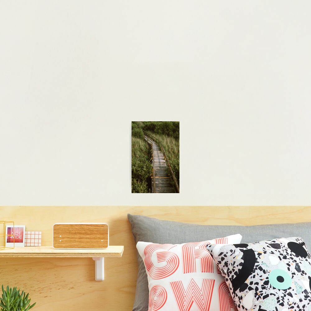 "Swamp Bridge" Photographic Print for Sale by Errne | Redbubble