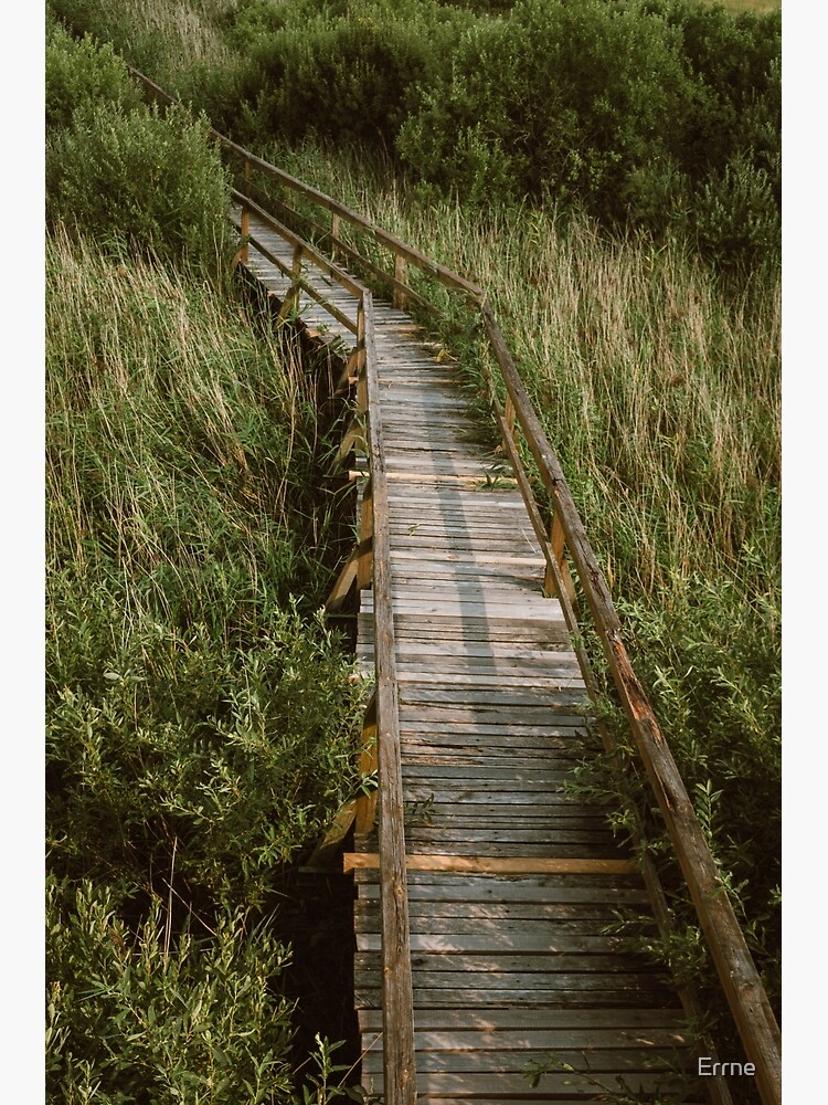 "Swamp Bridge" Photographic Print for Sale by Errne | Redbubble