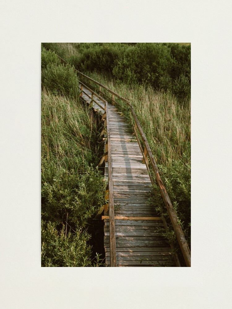 "Swamp Bridge" Photographic Print for Sale by Errne | Redbubble