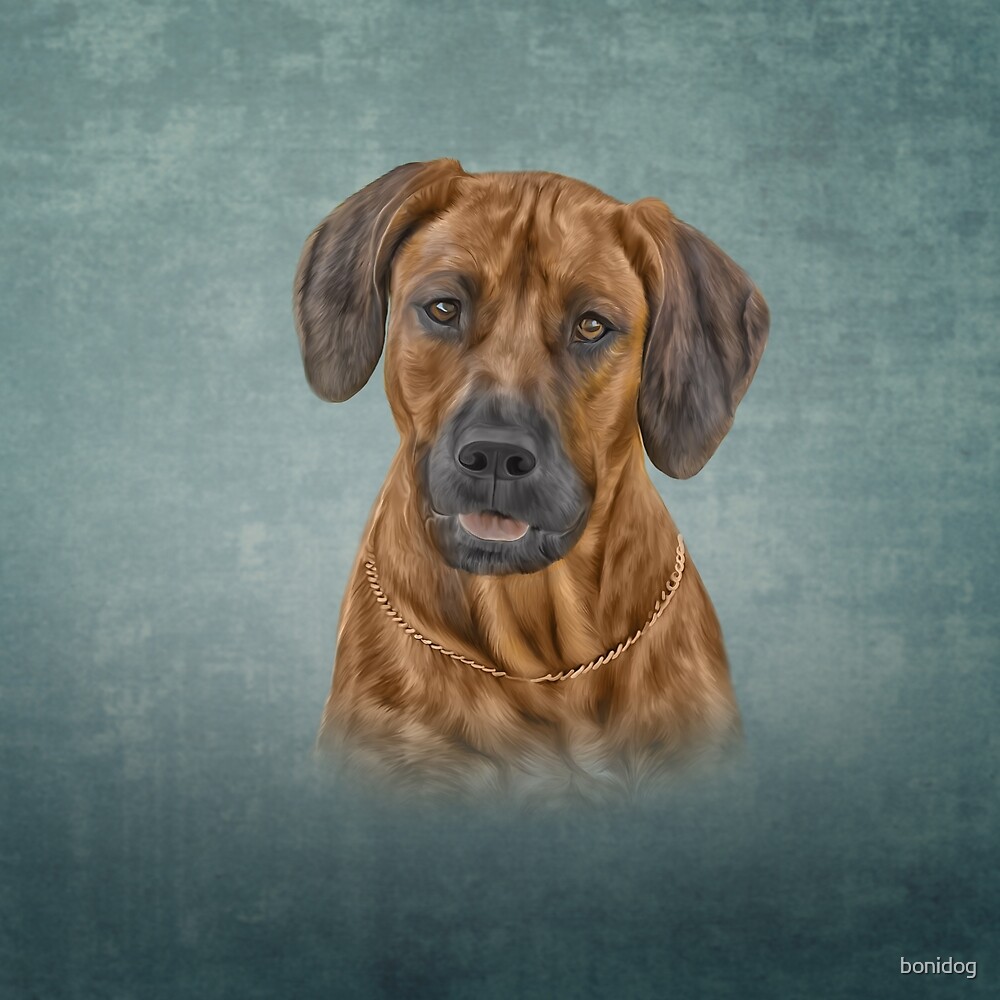 "Drawing Rhodesian Ridgeback" by bonidog | Redbubble