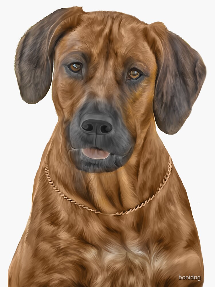 "Drawing Rhodesian Ridgeback" Sticker for Sale by bonidog | Redbubble