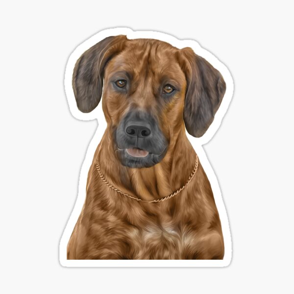 "Drawing Rhodesian Ridgeback" Sticker for Sale by bonidog | Redbubble