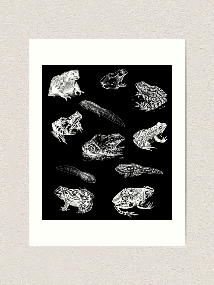 "Retro Frog Toad and Tadpole Collage " Art Print by SharkaSplat | Redbubble
