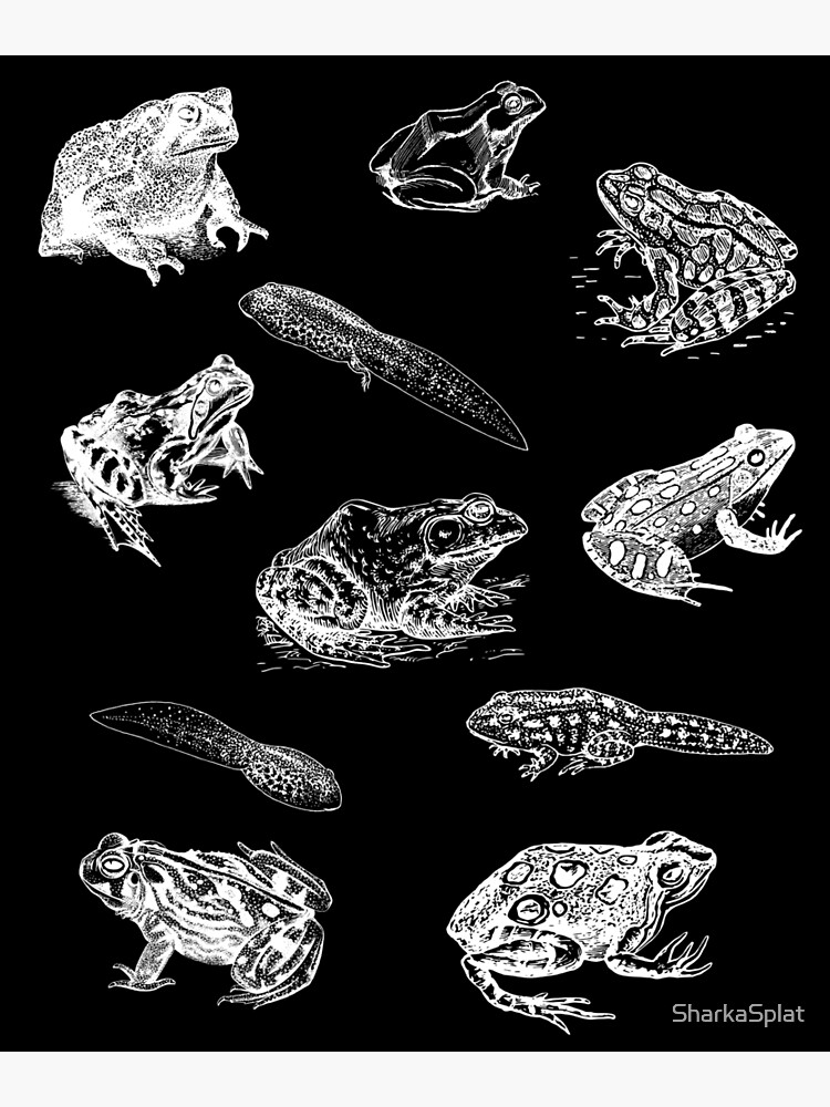 "Retro Frog Toad and Tadpole Collage " Art Print by SharkaSplat | Redbubble
