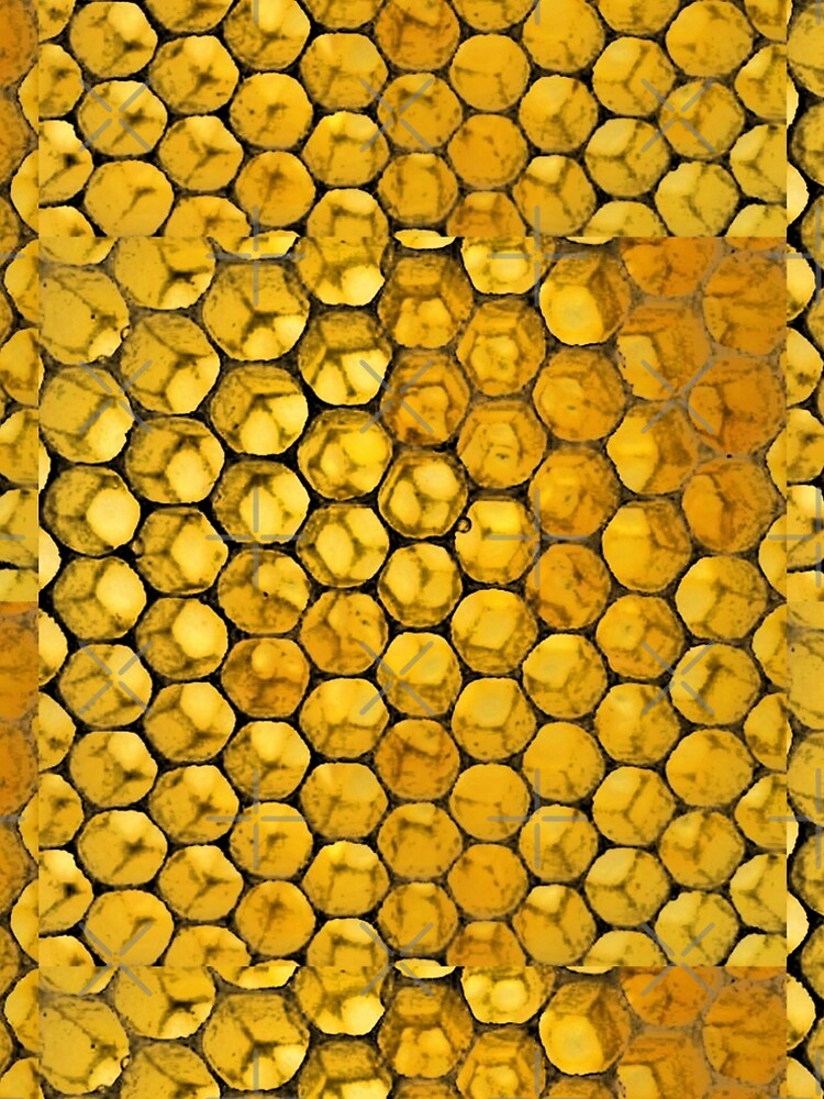 "The Yellow Hive" A-Line Dress for Sale by baudrillier | Redbubble