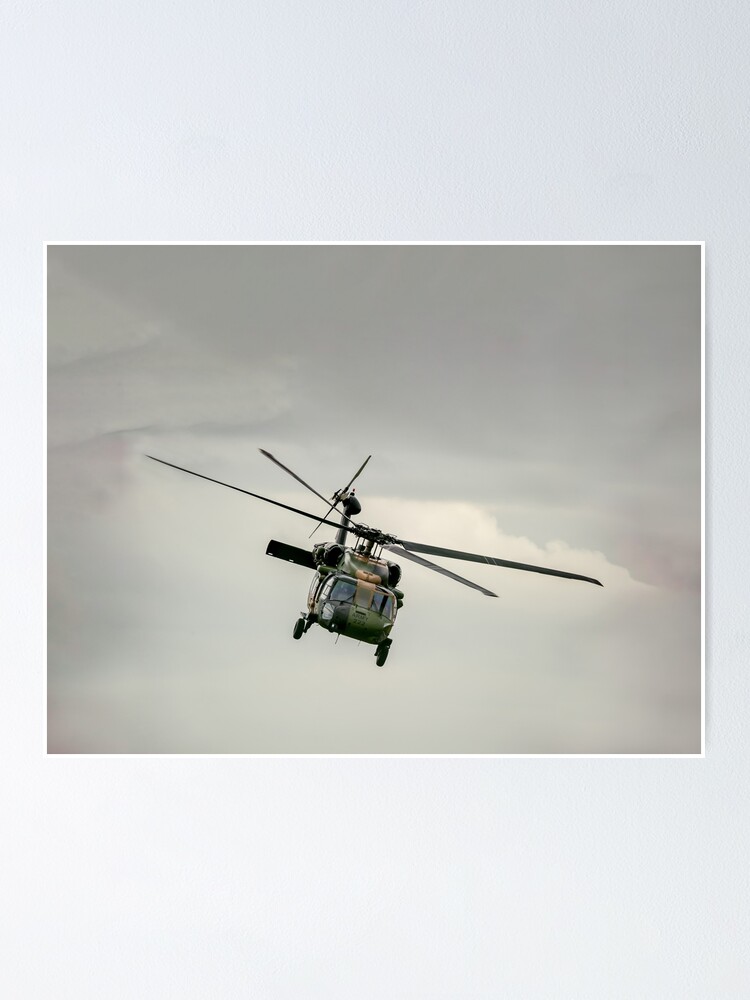 "Black Hawk Swoops" Poster by RayW | Redbubble
