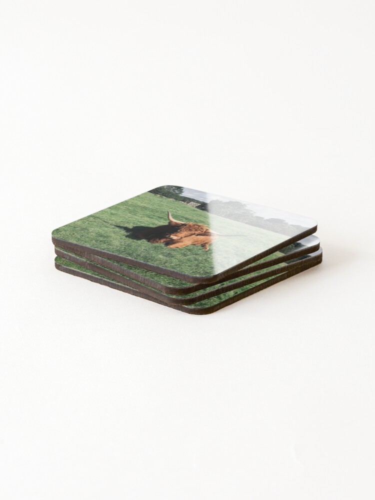 "Highland Coo" Coasters (Set of 4) by DougCook | Redbubble