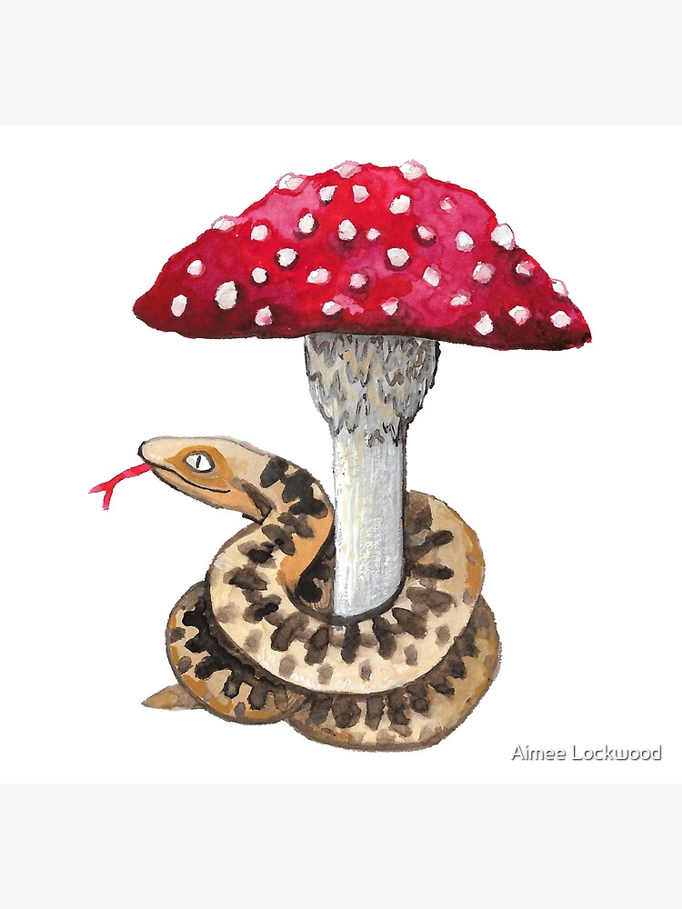 "Snake and Mushroom" Poster for Sale by aimee-lockwood | Redbubble
