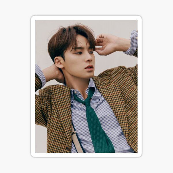 "SEVENTEEN FEAR MINGYU" Sticker by SVTEMPORIUM | Redbubble