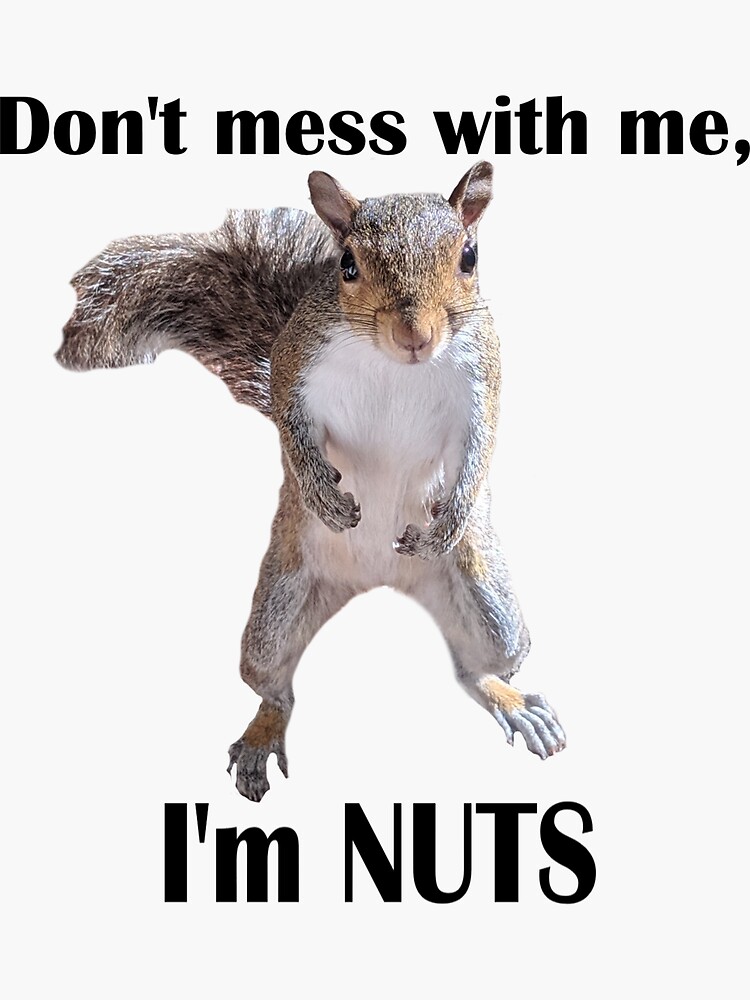 "Nutty Squirrel" Sticker for Sale by squiliam | Redbubble