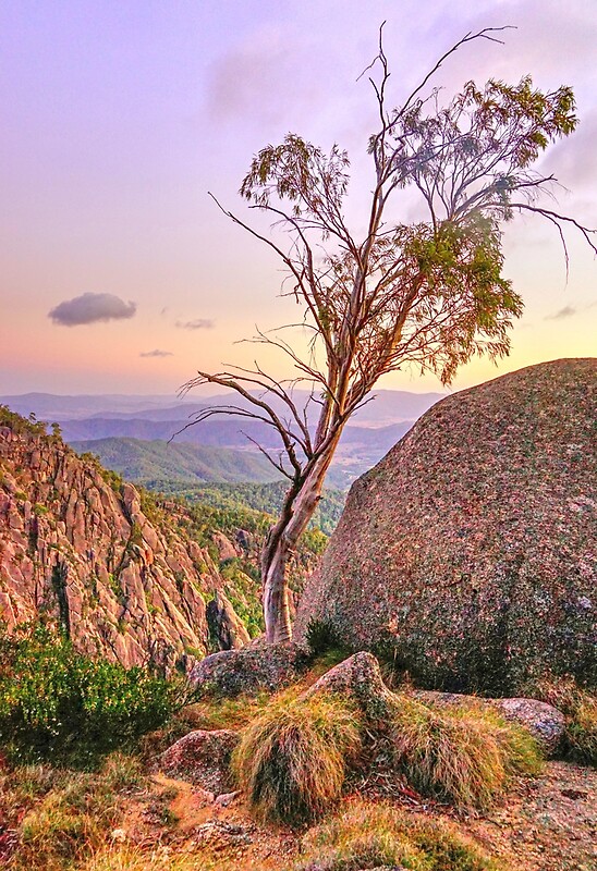 "Pastel Dawn" by Harry Oldmeadow | Redbubble