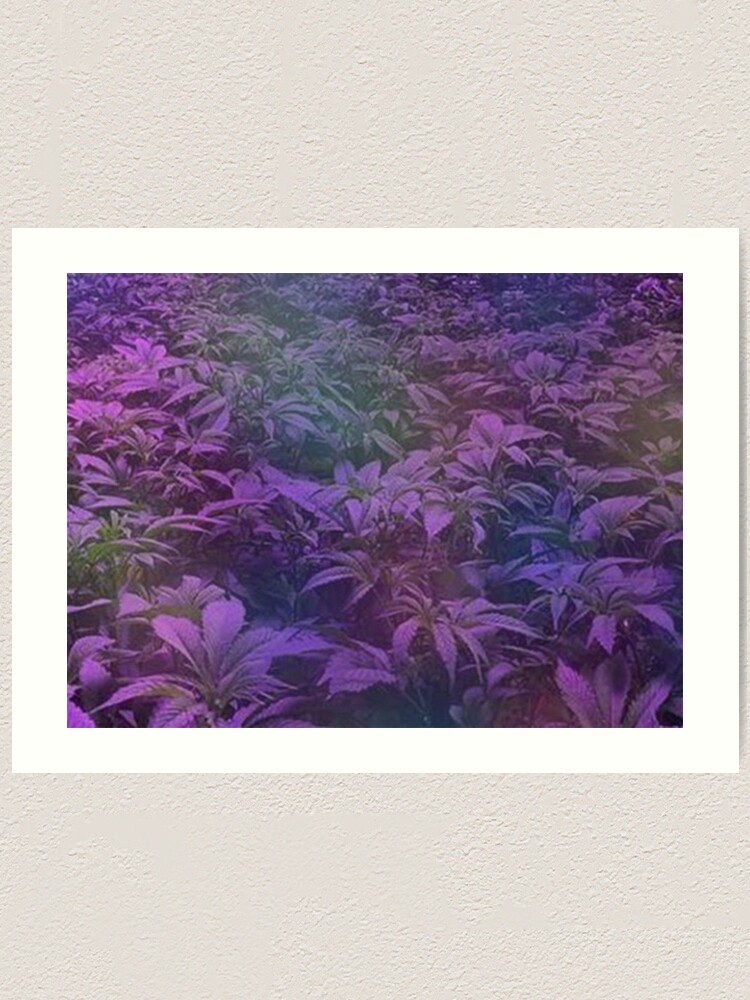 "Rainbow Jungle of Dank Marijuana Cannabis Leaves for 420" Art Print by ...