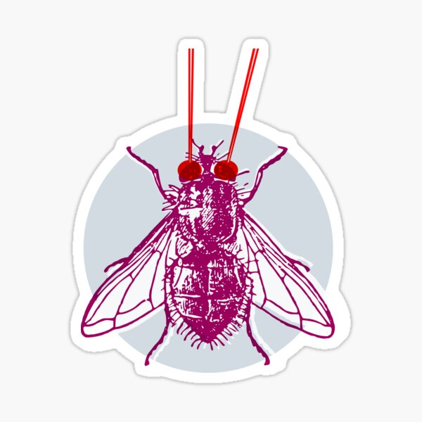 "fig. 72 superfly" Sticker for Sale by VintageFabFinds | Redbubble