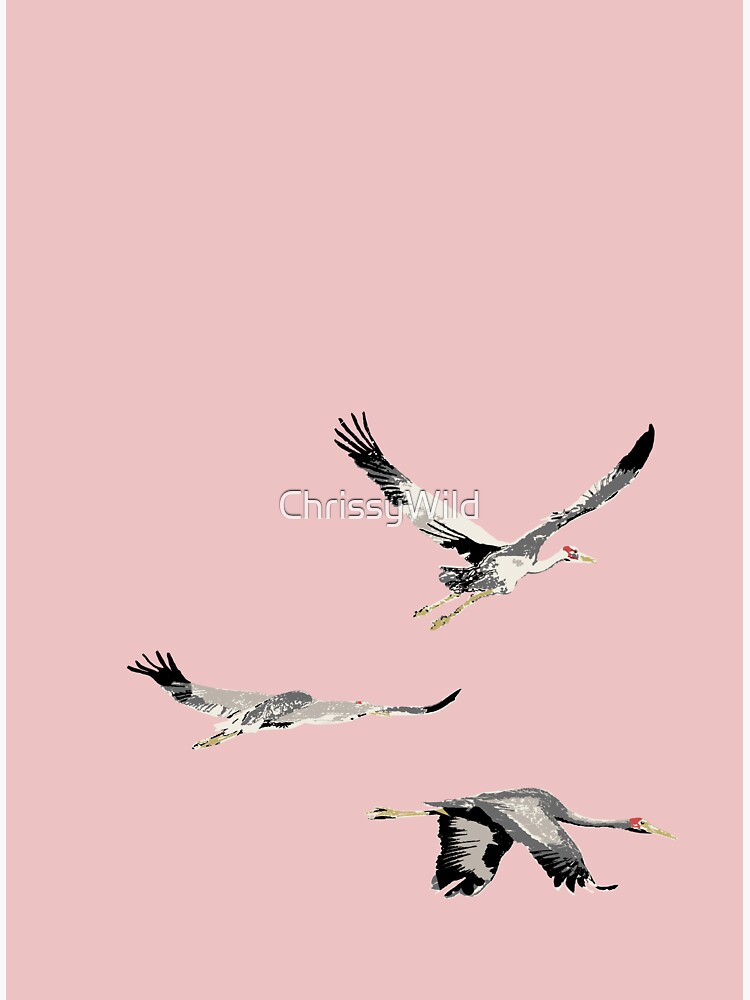 "Tiled Brolga (Grus rubicunda) on pink" Sticker for Sale by ChrissyWild ...