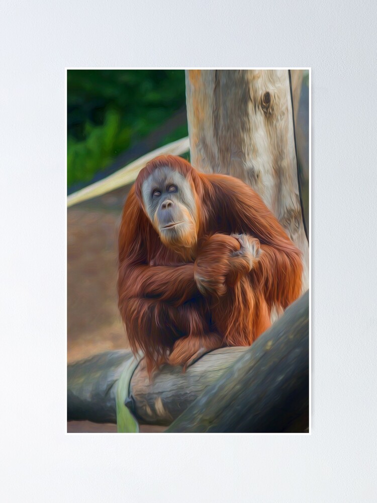 "Who Dat? (digital painting)" Poster for Sale by RayW | Redbubble