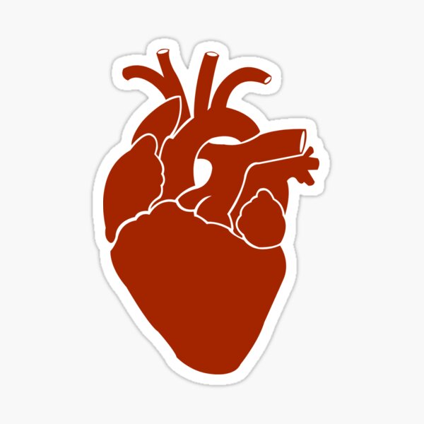 "Human Heart Art" Sticker by MeshachKing | Redbubble