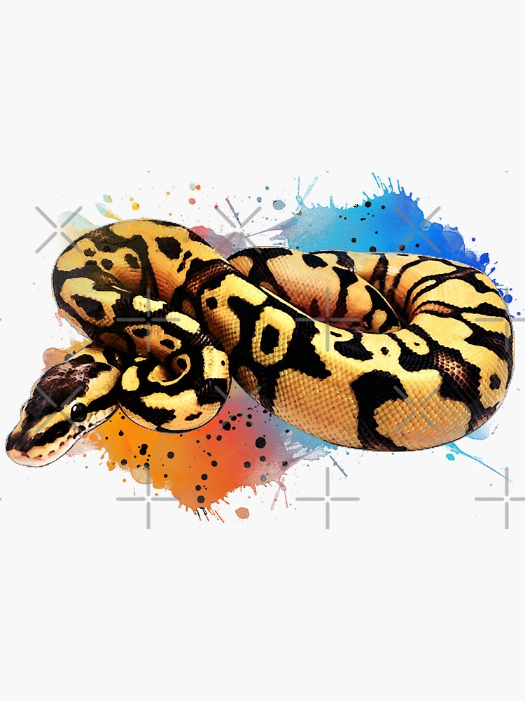 "Ball Python Watercolor Reptile Keeper Snake" Sticker by JRRTs | Redbubble