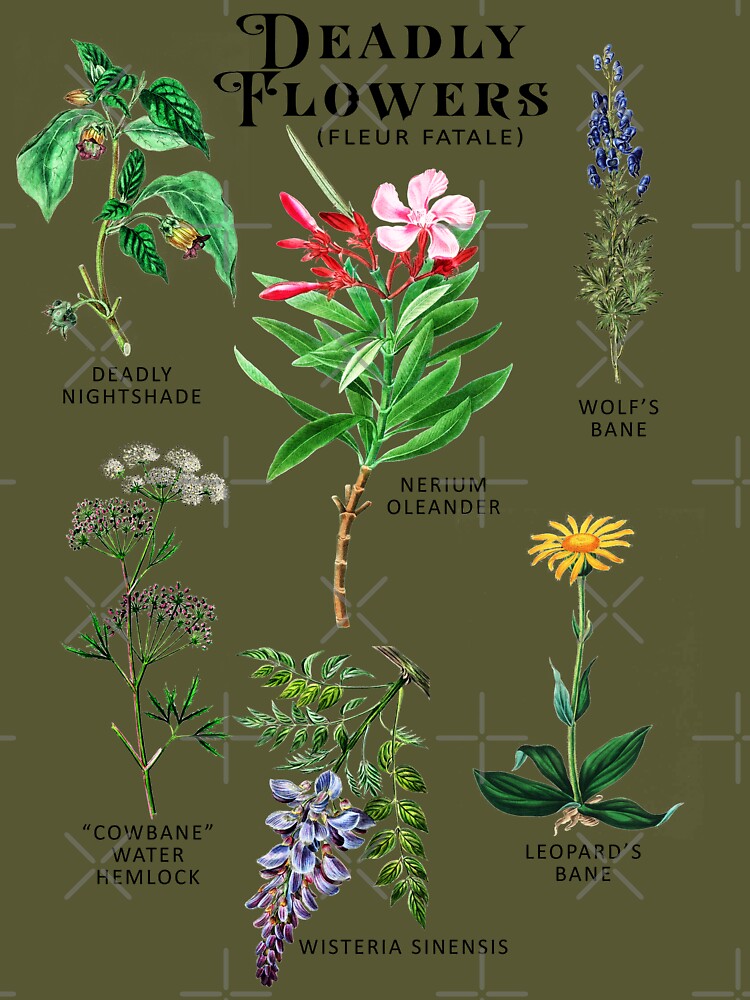 Poisonous Flowers Deadly Fleur Fatale Botanicals Plants Essential T Shirt for Sale by bigraydesigns Redbubble