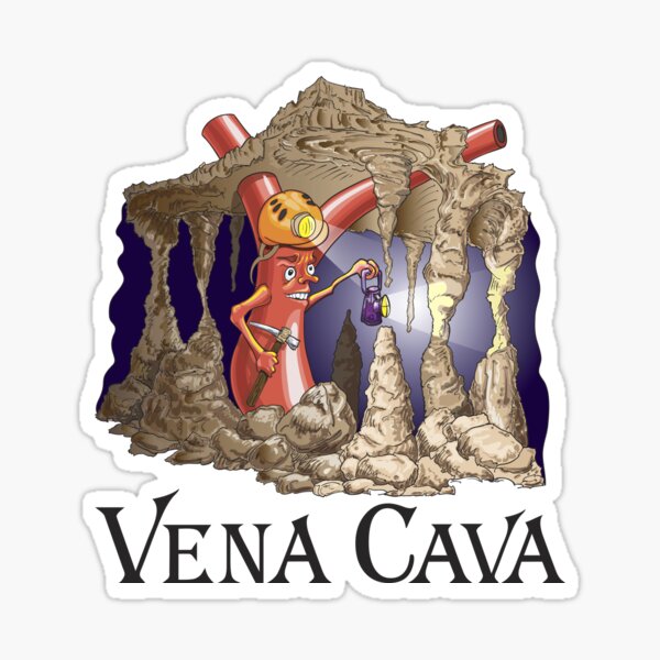 "The Vena Cava - Funny Anatomy Series" Sticker by Zit-Zat-Zot | Redbubble