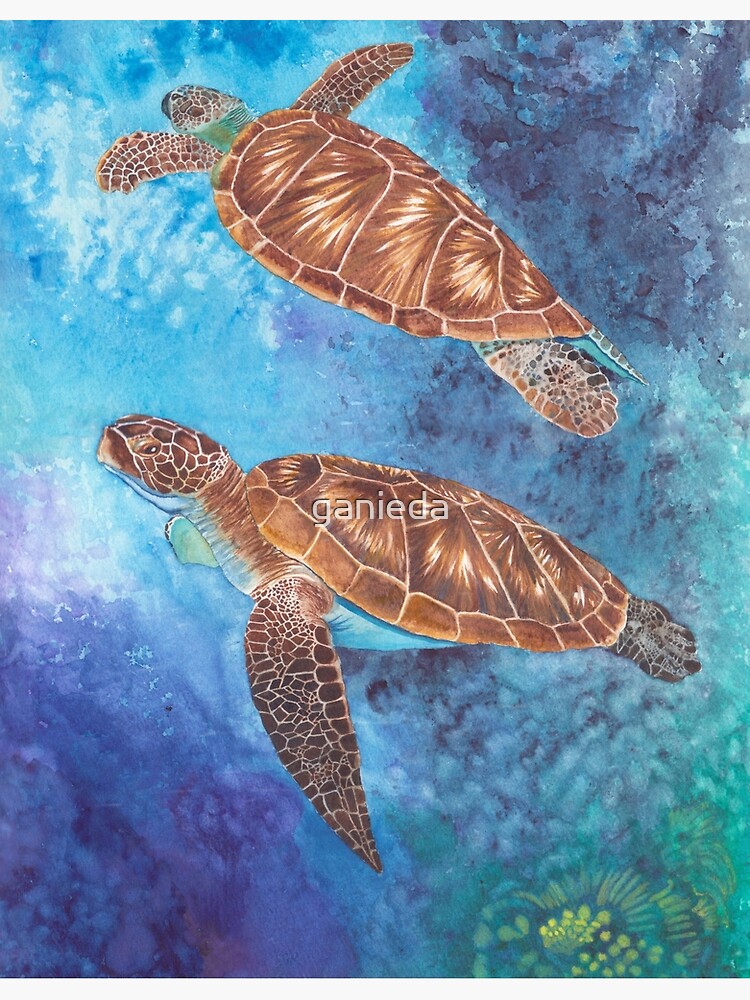 "Sea Turtles" Poster by ganieda | Redbubble