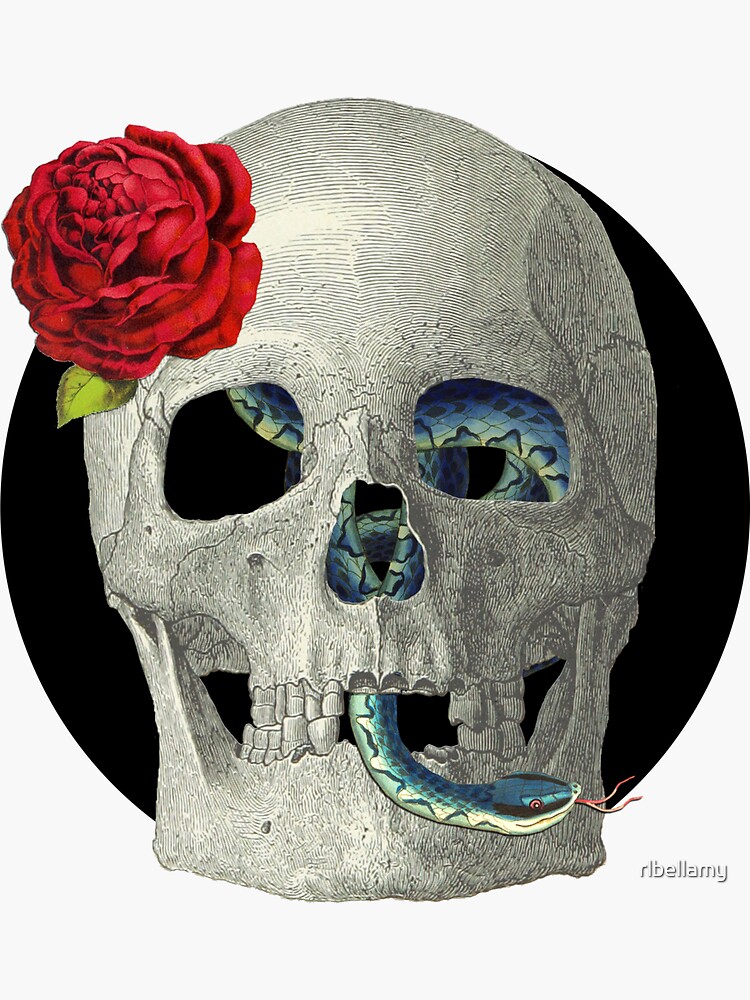 "Erica" Sticker by rlbellamy | Redbubble