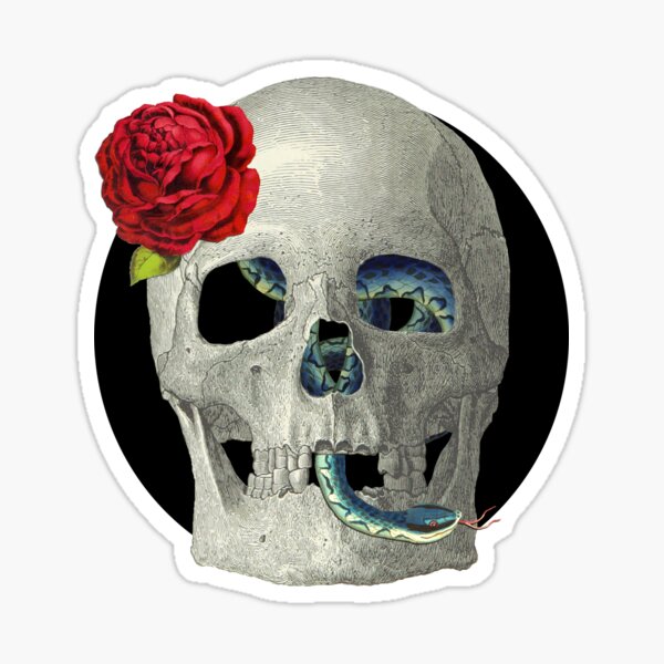 "Erica" Sticker by rlbellamy | Redbubble