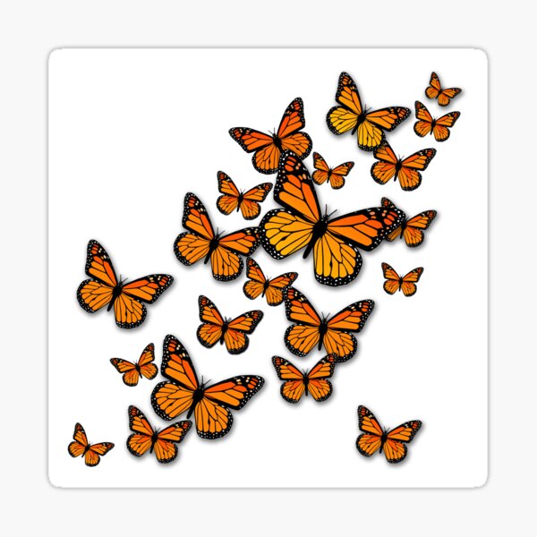 "Monarch Migration" Sticker by somekindofguru | Redbubble