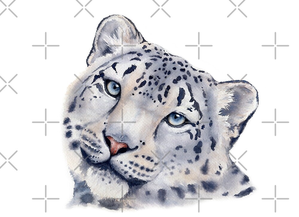 "Snow Leopard in Watercolor" by Denise Soden | Redbubble