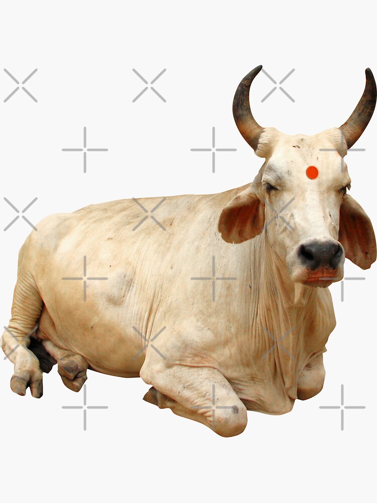"Gao Mata / Sacred Cow" Sticker for Sale by Zimbo-Zimbo | Redbubble
