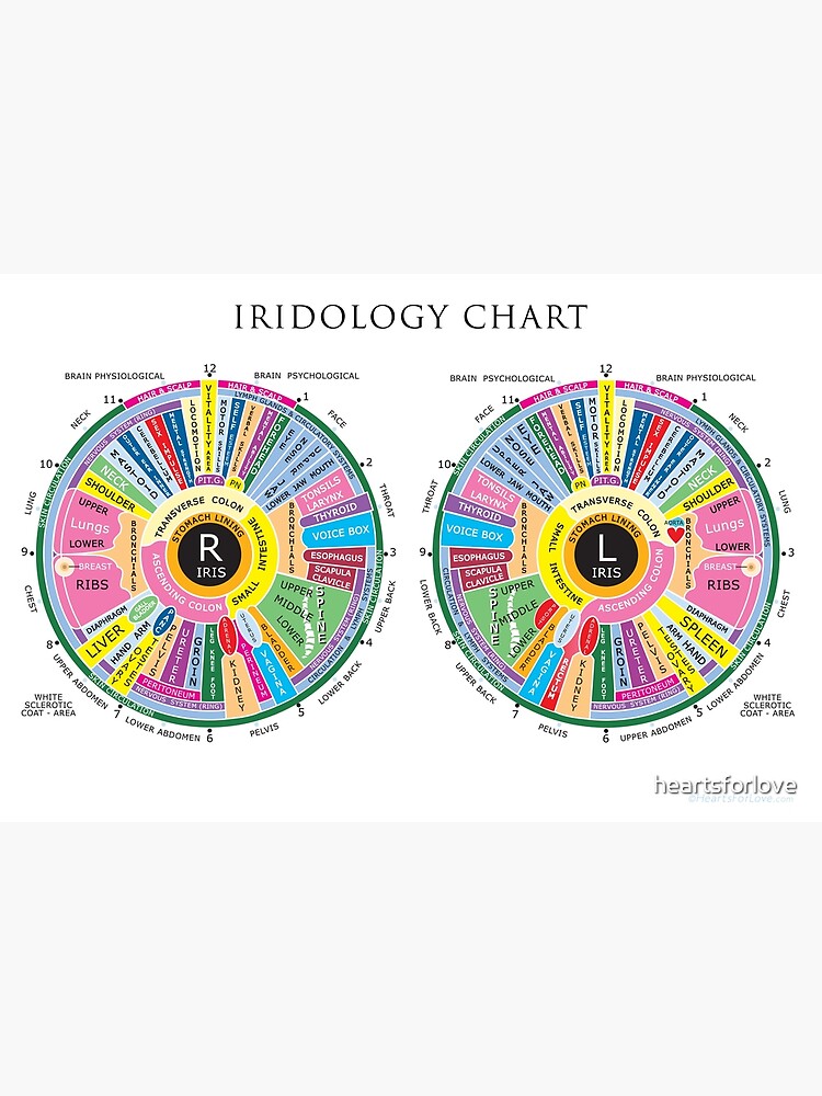 Iridology Eye Chart Iridology Hi Res Stock Photography And Images