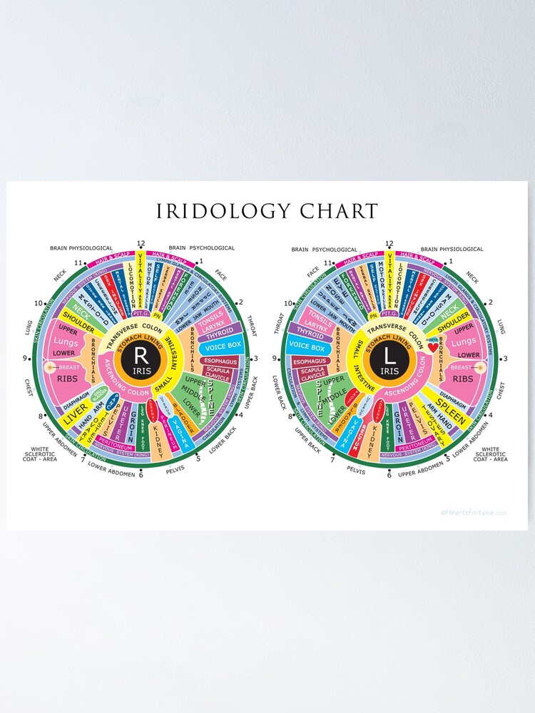 "Iridology Chart For Study Of Health Diagnosis Via The Iris In The Eye ...