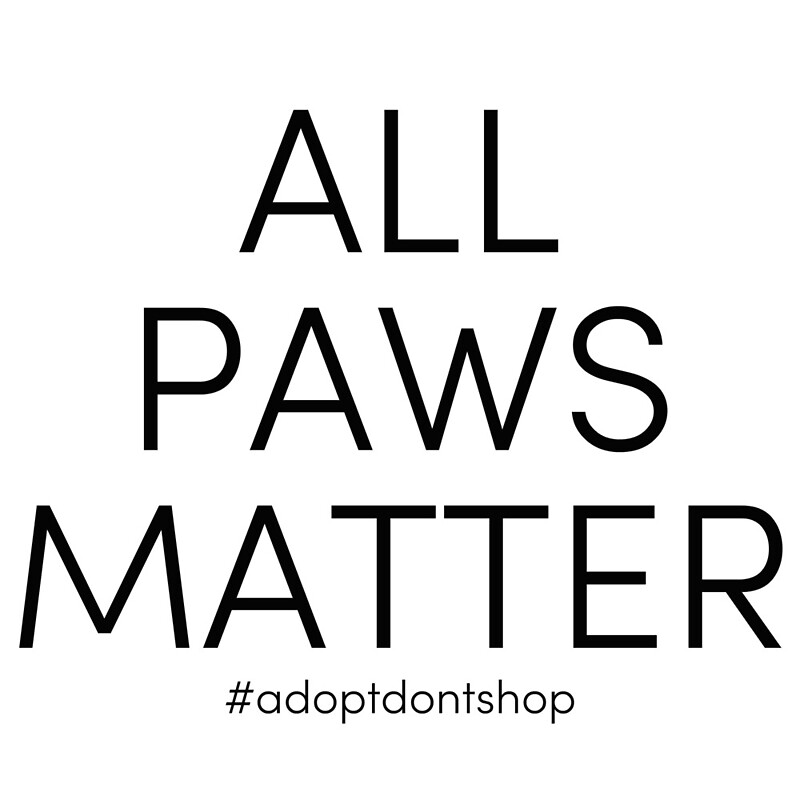 "All Paws Matter (Adopt Don't Shop)" by emilywerfel | Redbubble