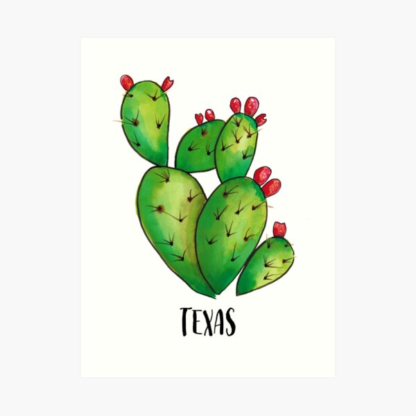 "Texas Cactus" Art Print for Sale by Reba Collins | Redbubble